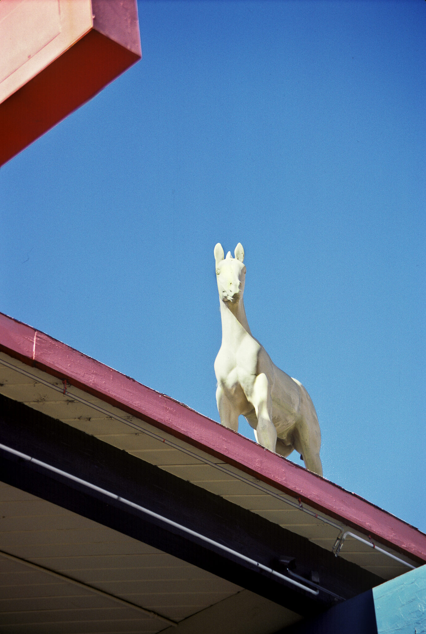 Ruby and Nelms; “Rube Nelson’s Fabulous Country Corner,” Escondido, CA ...